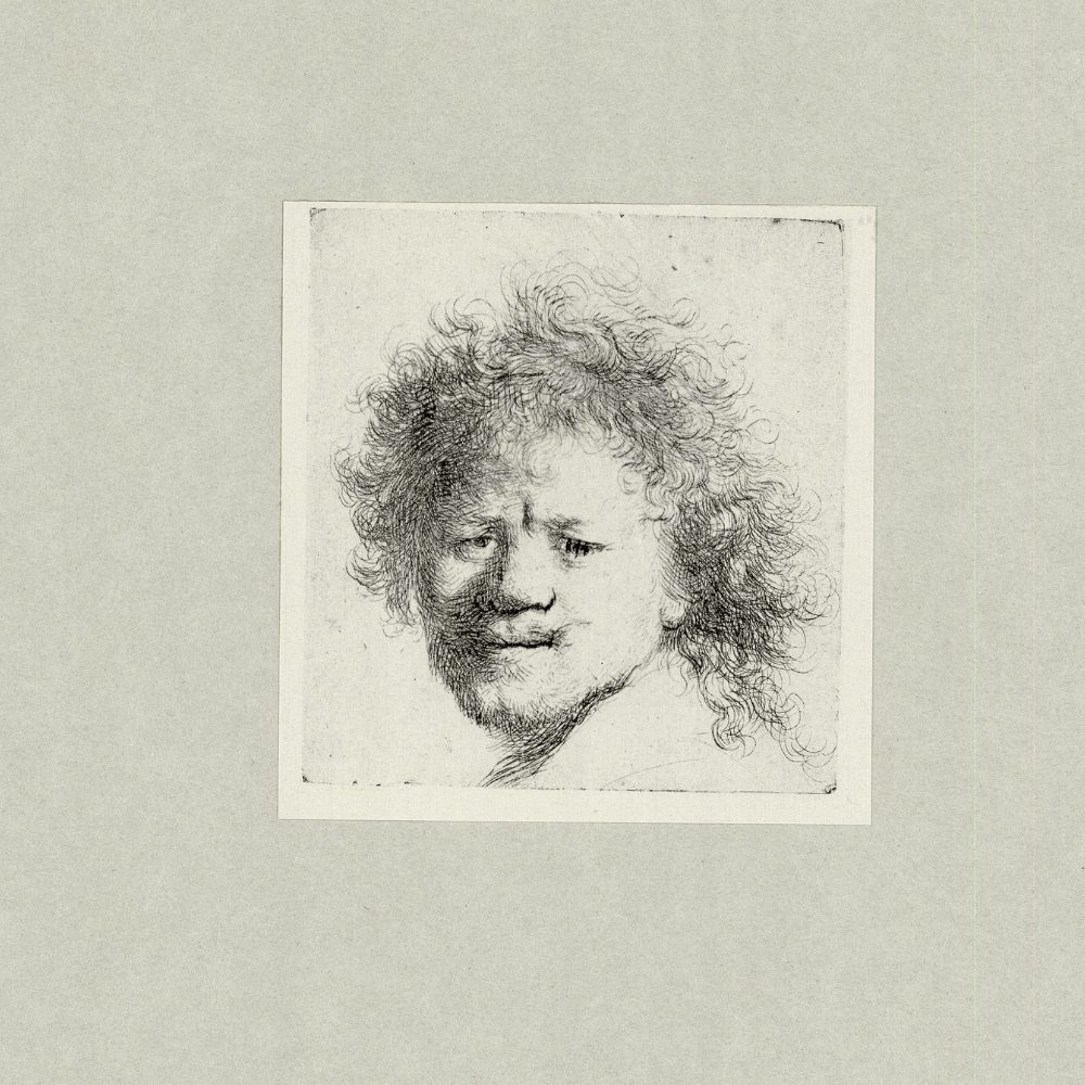 Rembrandt Van Rijn; Rembrandt with Long Bushy Hair c. 1631 – Gold ...