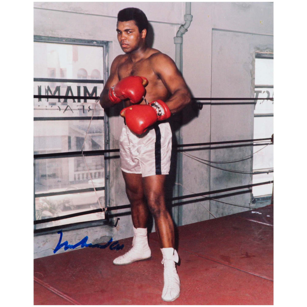 Boxing & MMA – Gold & Silver Pawn Shop