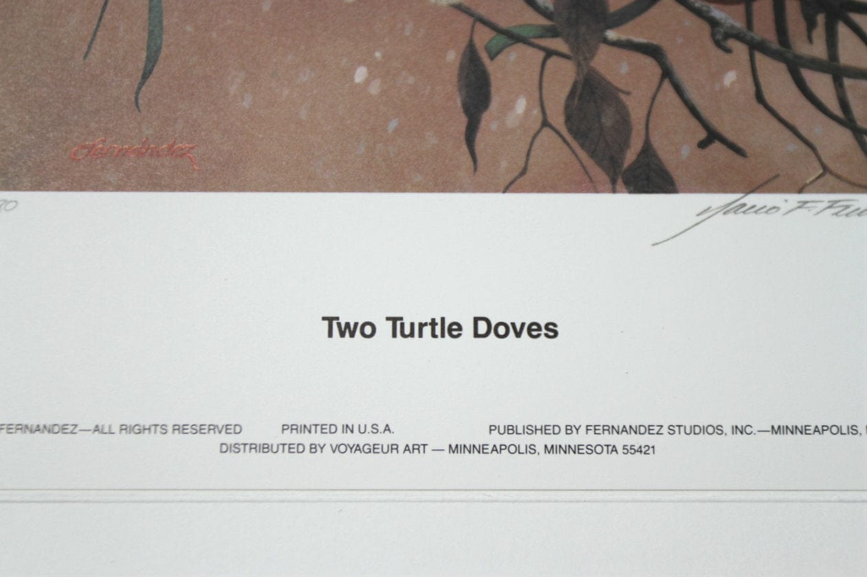 Mario F Fernandez; "Two Turtle Doves" – Gold & Silver Pawn Shop